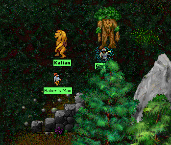 Tree, Earth, Fire, and Water Elementals